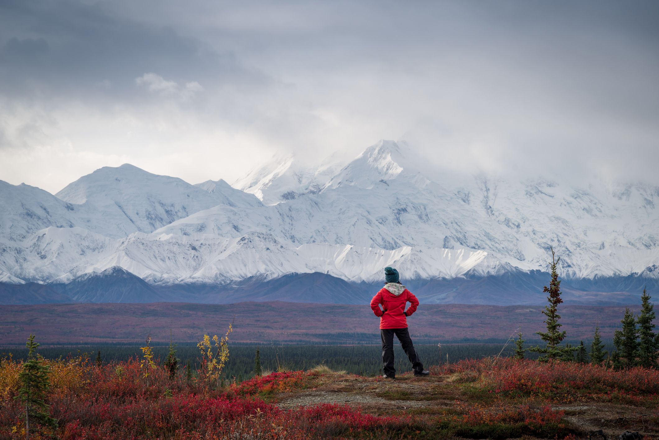 Winter Activities In Alaska Kodiak Compass Suites